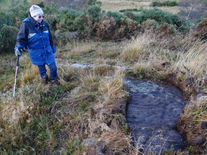 Buntait Cup Marked Stone, Highlands | Megalithic Portal