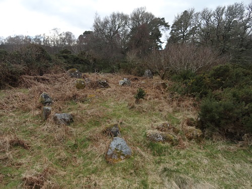 Kinchyle Of Dores [Scaniport] Stone Circle : The Megalithic Portal and ...