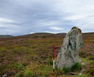 Learable Hill Multiple Stone Rows / Avenue : The Megalithic Portal and ...