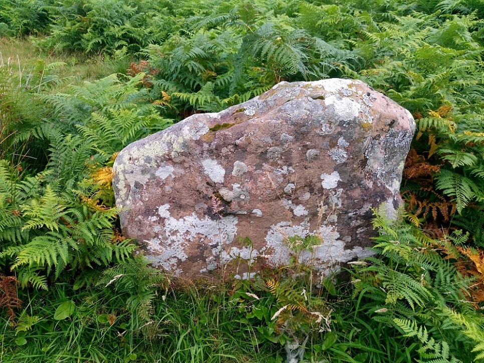 Tormore 2 Chambered Cairn : The Megalithic Portal and Megalith Map: