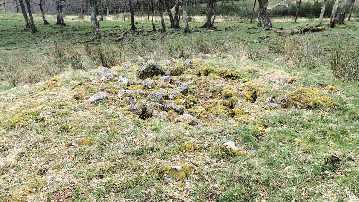 Tom An Uird Wood, Moray | Megalithic Portal