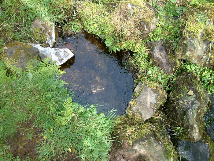Loch Sheanta, Isle of Skye | Megalithic Portal