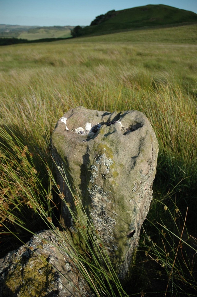 Muir Standing Stones Scotland