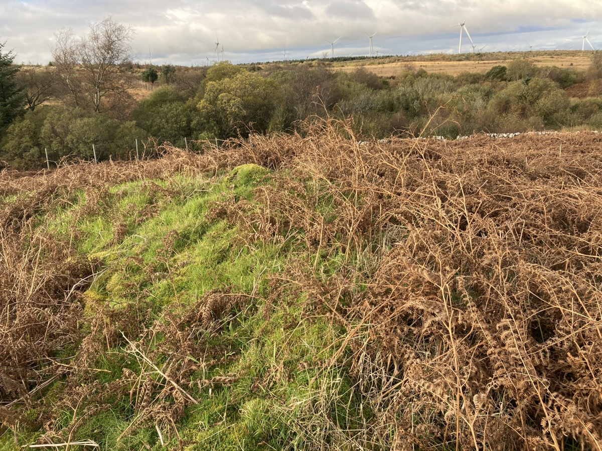Laggan Cairn (Barrhill), South Ayrshire | Megalithic Portal