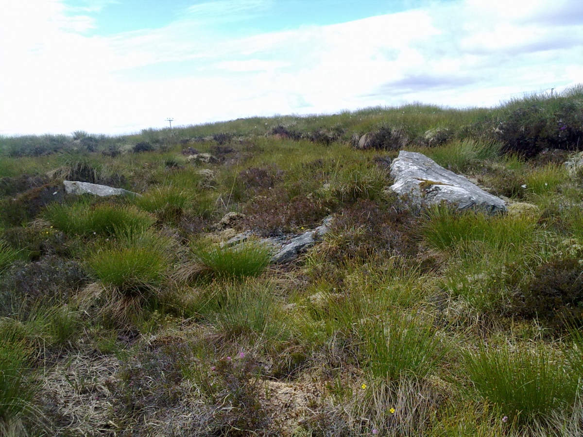 Druim Dubh Stone Circle : The Megalithic Portal and Megalith Map:
