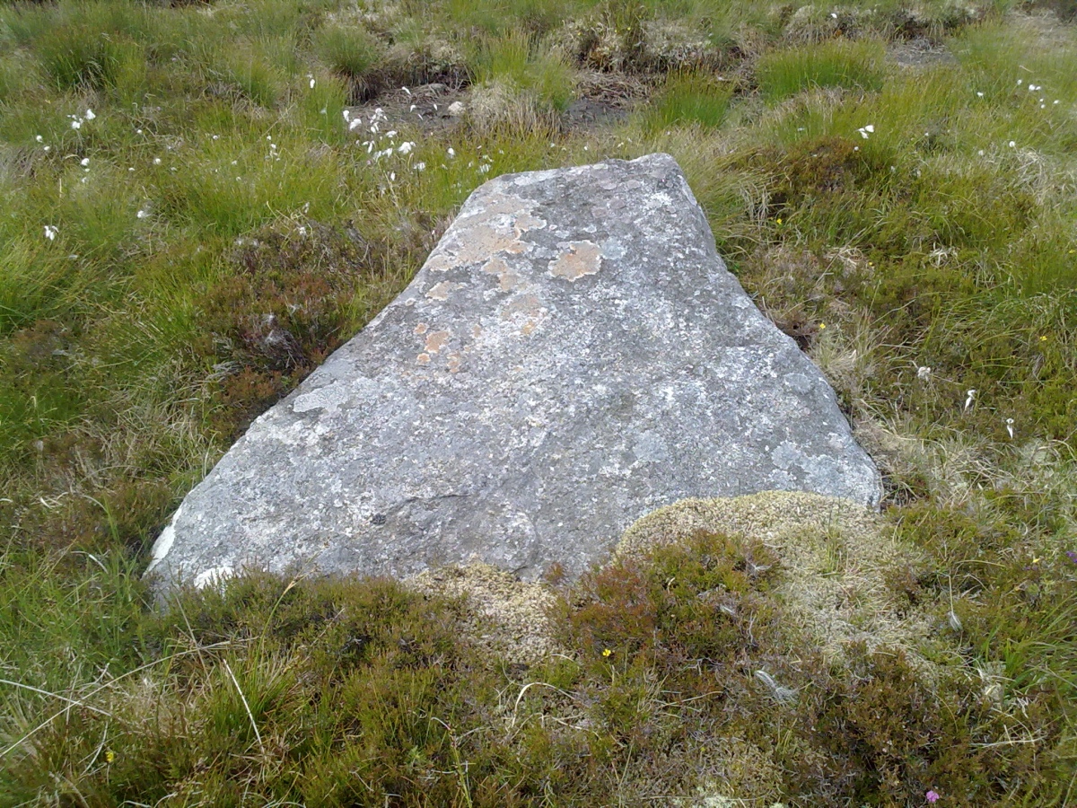 Druim Dubh Stone Circle : The Megalithic Portal and Megalith Map:
