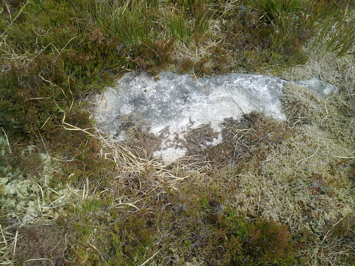 Druim Dubh Stone Circle : The Megalithic Portal and Megalith Map: