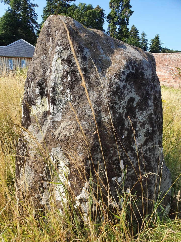 Fingask Castle Standing Stone (Menhir) : The Megalithic Portal and ...