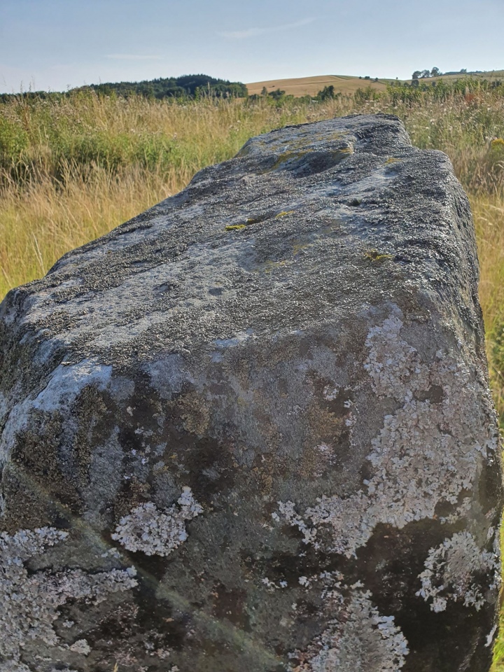 Fingask Castle Standing Stone (Menhir) : The Megalithic Portal and ...