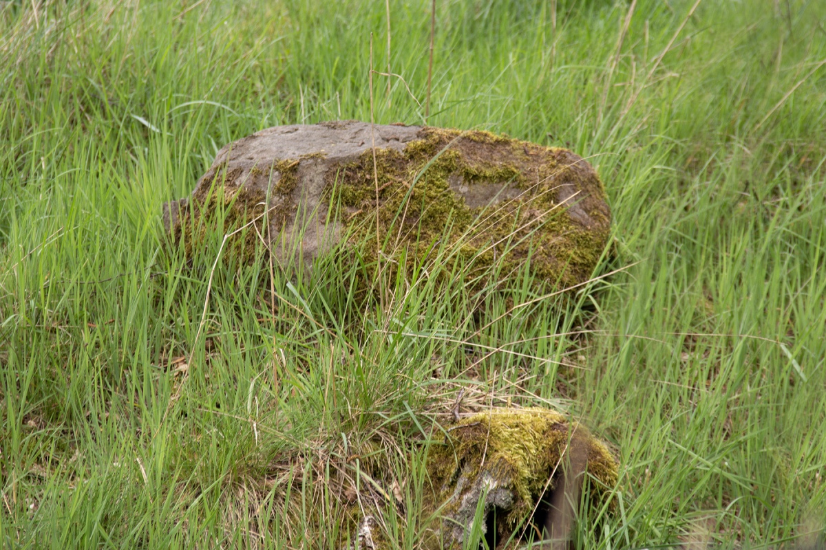 St. Martins, Perth and Kinross | Megalithic Portal