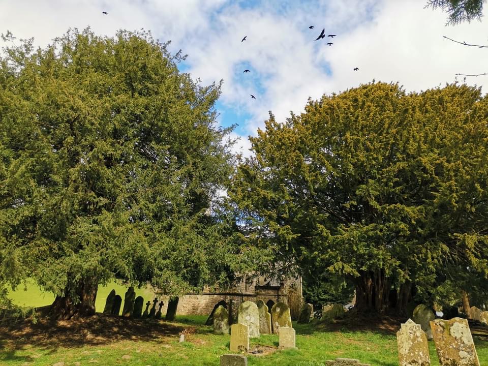 Llanfihangel Nant Melan Standing Stone (Menhir) : The Megalithic Portal ...