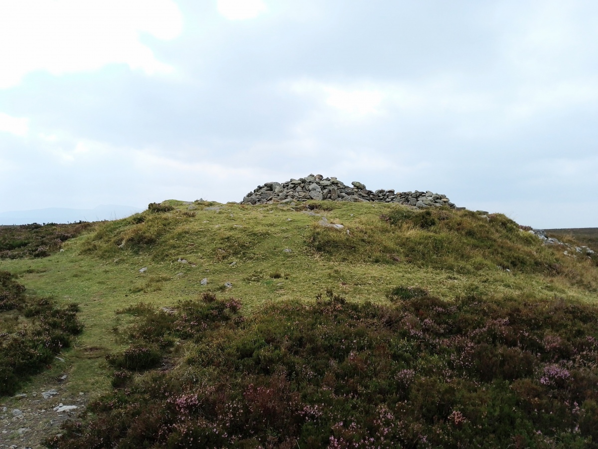 Moel Fferna, Y Berwyn, Denbighshire | Megalithic Portal