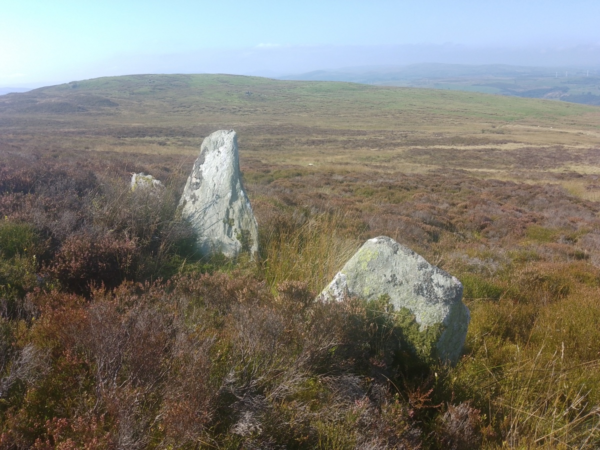 Bwlch y Fedw Standing Stone, Denbighshire | Megalithic Portal
