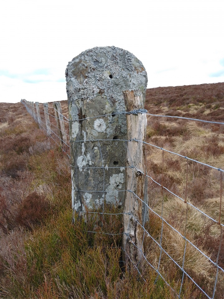 Croes Garreg Rhys Goch Standing Stone (Menhir) : The Megalithic Portal ...