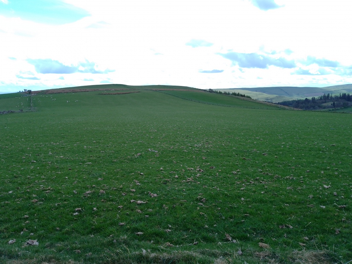 Ffridd Uchaf Cairn, Wrexham | Megalithic Portal