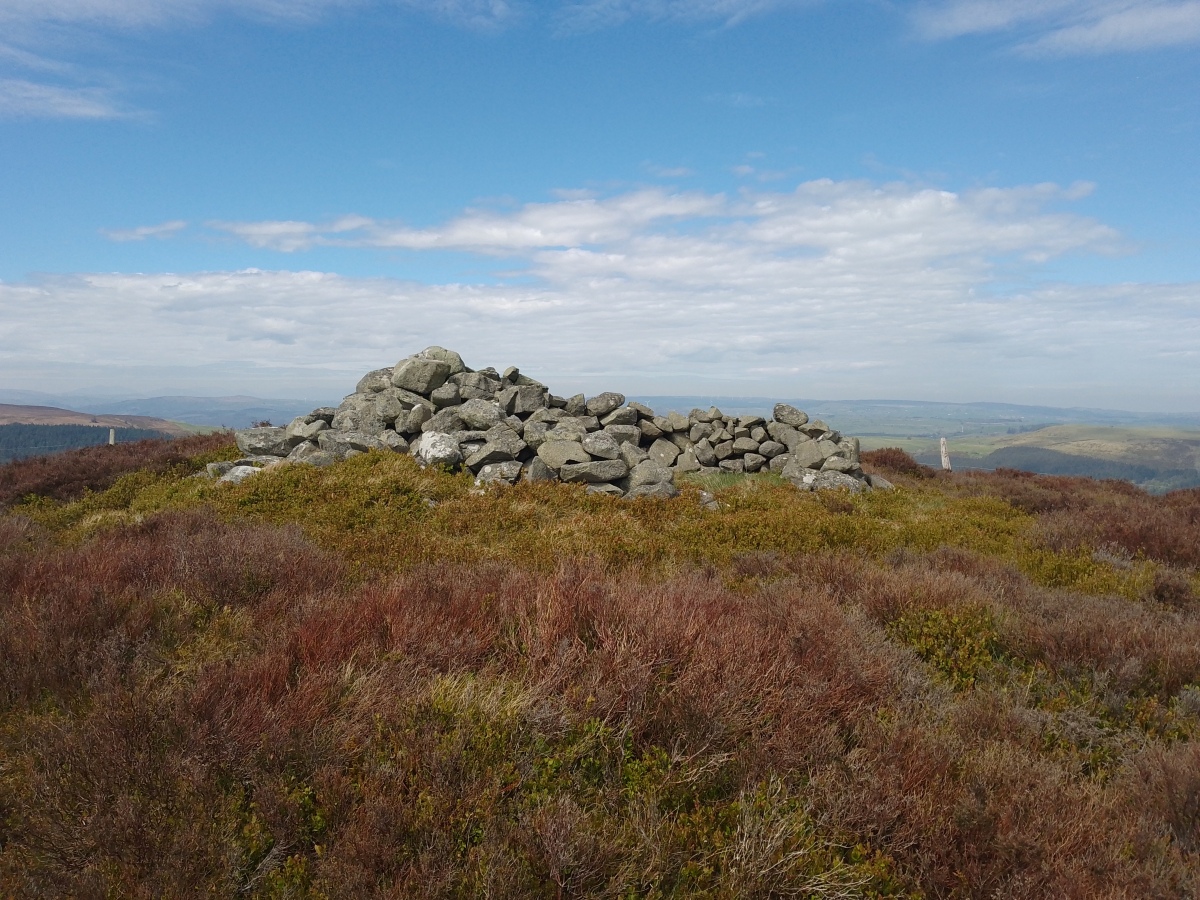 Cwm Ganol Cairn, Denbighshire | Megalithic Portal