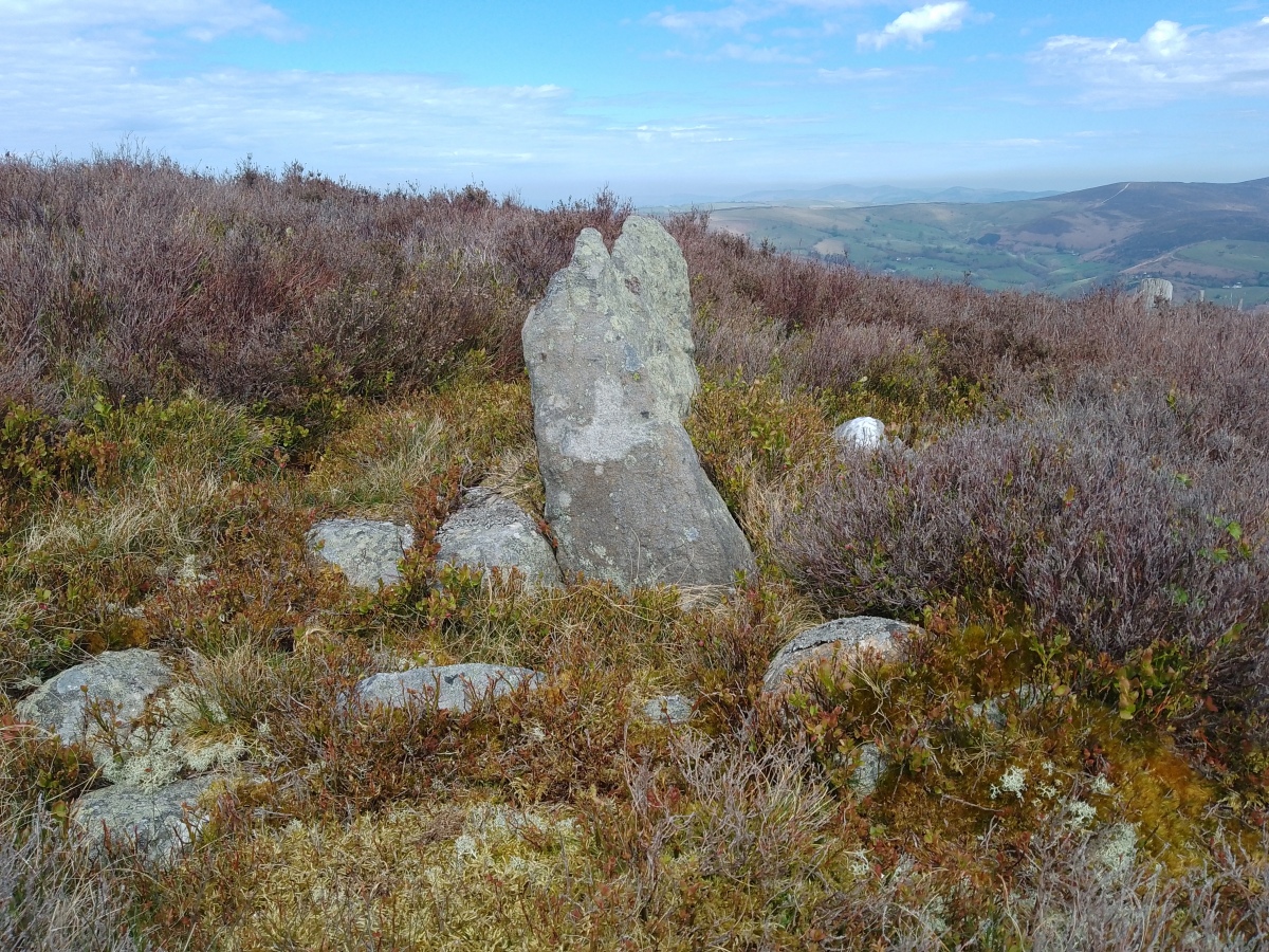 Cwm Ganol Standing Stone, Denbighshire | Megalithic Portal