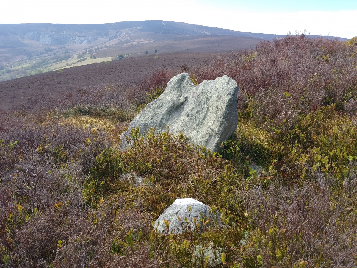 Cwm Ganol Standing Stone, Denbighshire | Megalithic Portal
