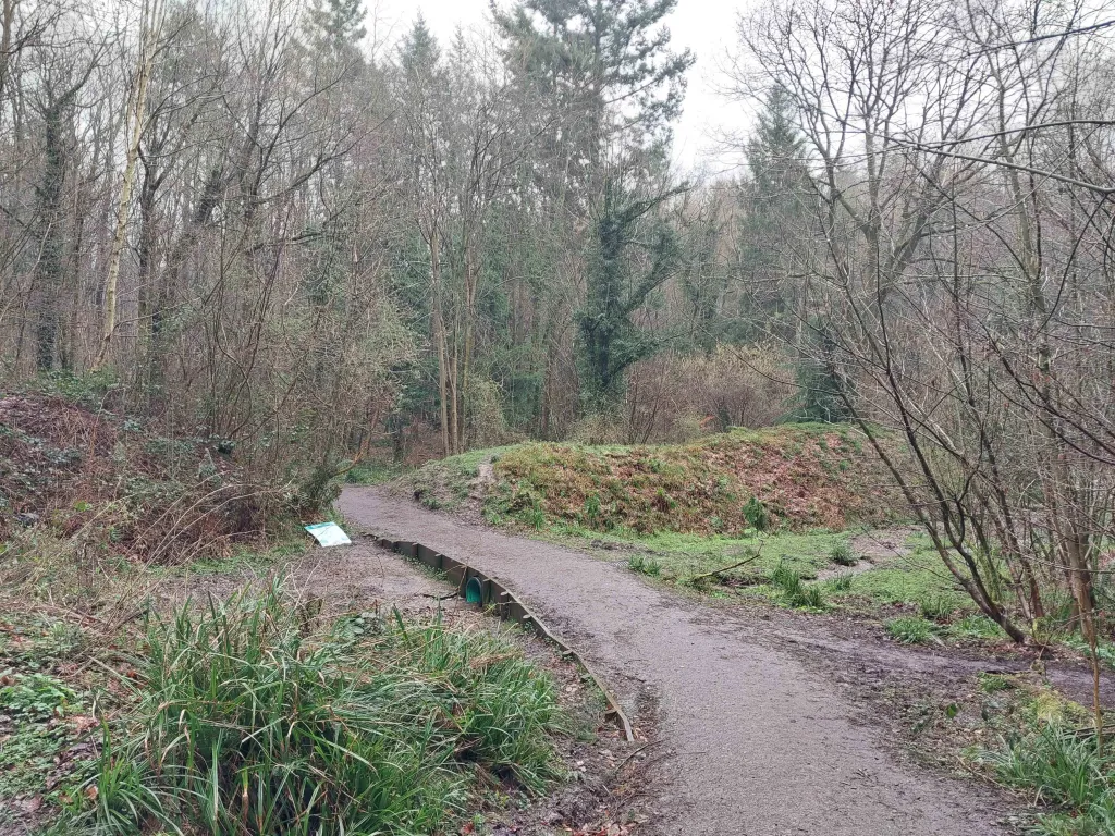 Offa's Dyke at Plas Power Wood, Wrexham | Megalithic Portal