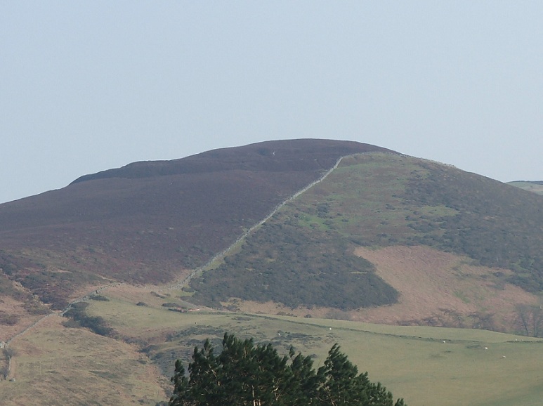 Moel Arthur, Denbighshire | Megalithic Portal