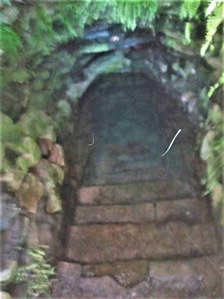 Rhiwiau Well, Powys | Megalithic Portal