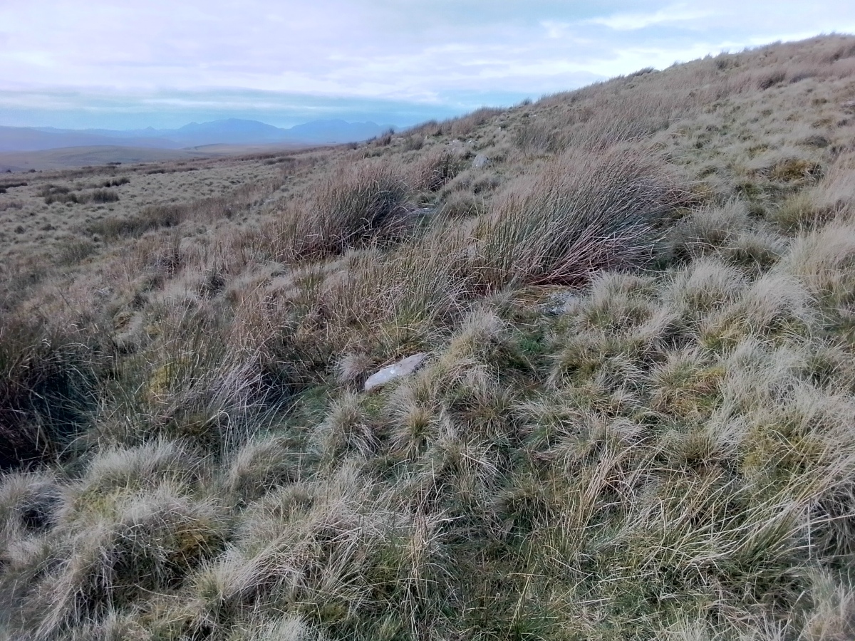 Bwlch y Garnedd Cairn 3 Cairn : The Megalithic Portal and Megalith Map: