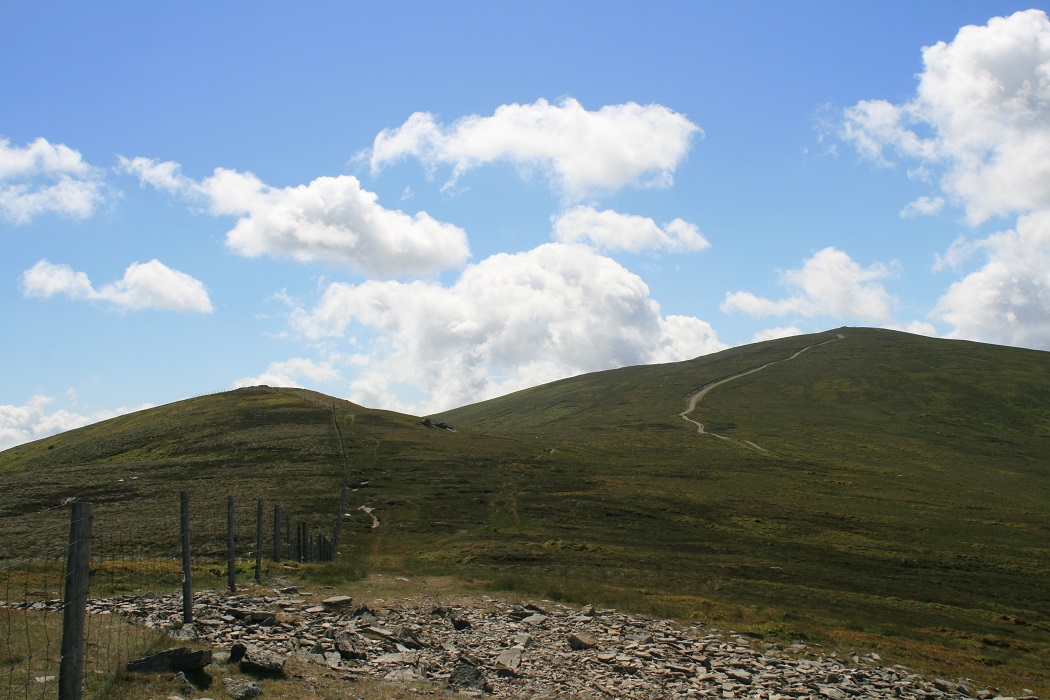 Carnedd y Ddelw, Conwy (Bwrdeistref Sirol) | Megalithic Portal
