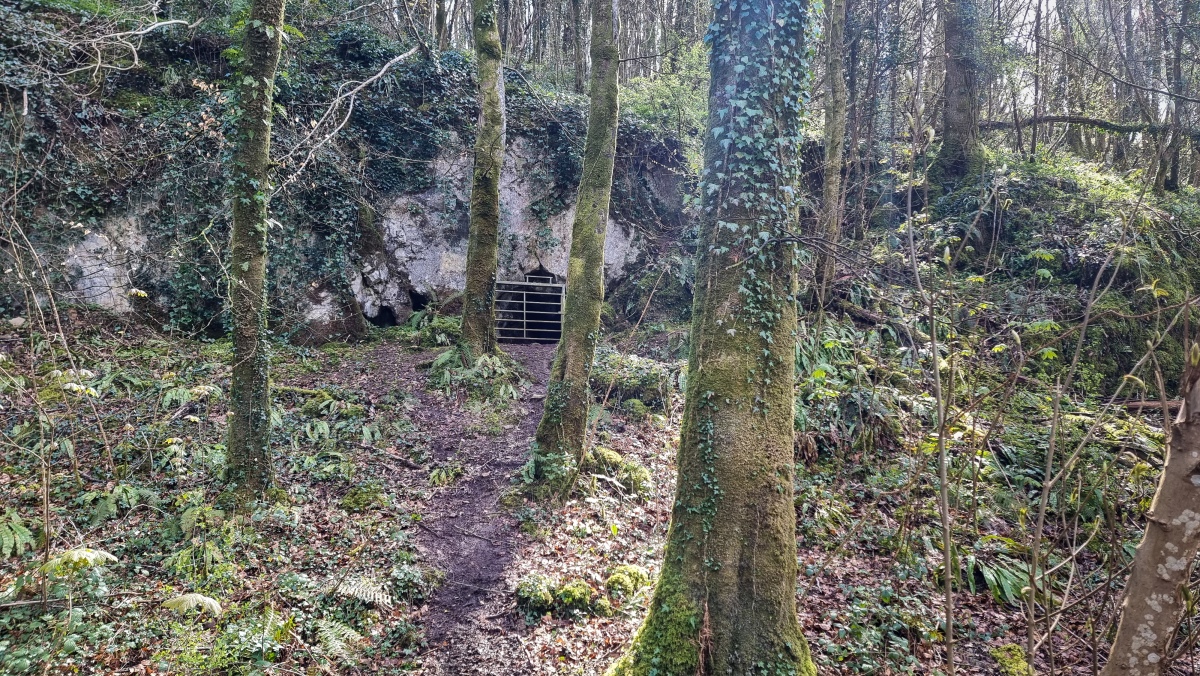 Tooth Cave, West Glamorgan | Megalithic Portal