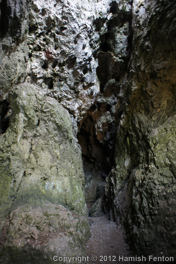 Culver Hole (Port Eynon) [Smuggler's Cave, Prince Eynon's Cave] Cave or Rock Shelter : The ...