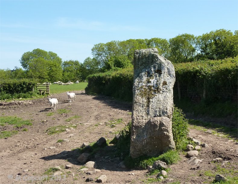 Knelston standing stone, West Glamorgan | Megalithic Portal