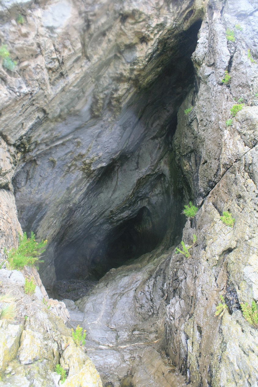 Goat's Cave, Paviland [Paviland Cave, Goat’s Hole] Cave or Rock Shelter ...