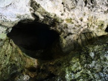 Goat's Cave, Paviland [Paviland Cave, Goat’s Hole] Cave or Rock Shelter ...