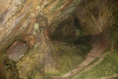 Goat's Cave, Paviland [Paviland Cave, Goat’s Hole] Cave or Rock Shelter ...
