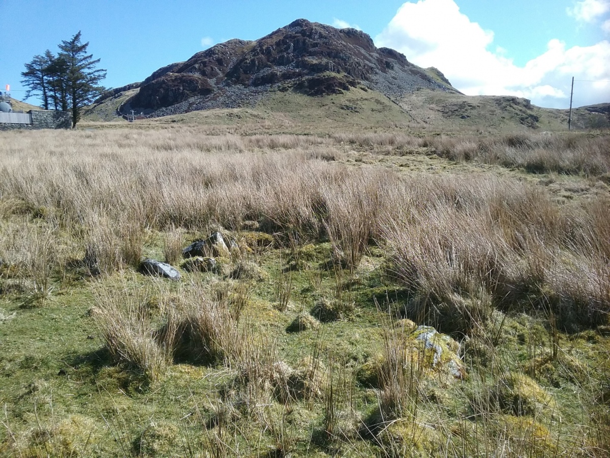 Beddau Gwyr Ardudwy [The graves of the men of Ardudwy] Artificial Mound ...