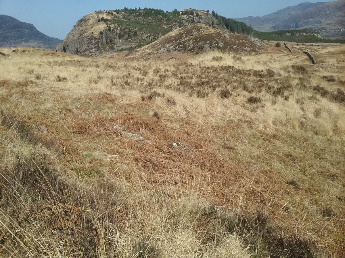 Plas Ystrad Hut Circle, Gwynedd | Megalithic Portal