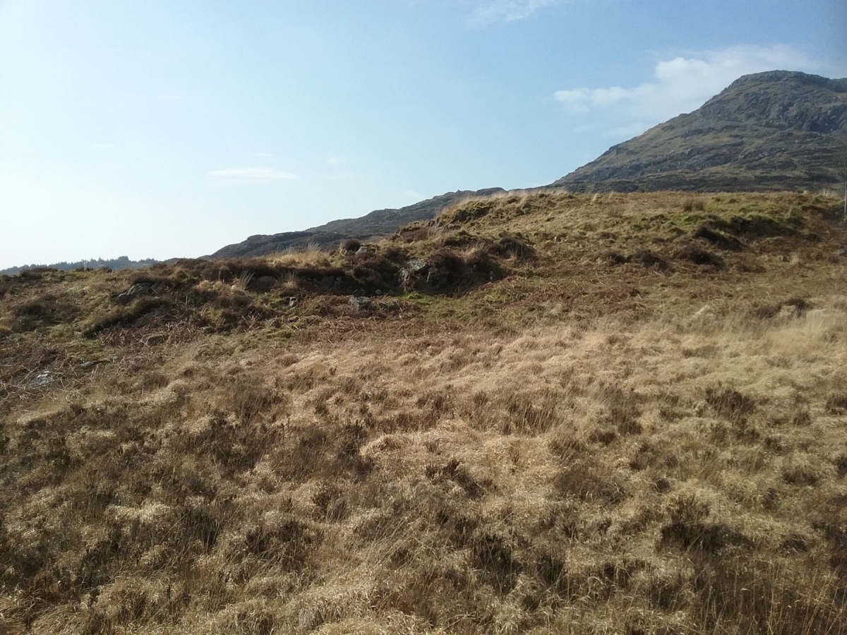 Plas Ystrad Hut Circle, Gwynedd | Megalithic Portal