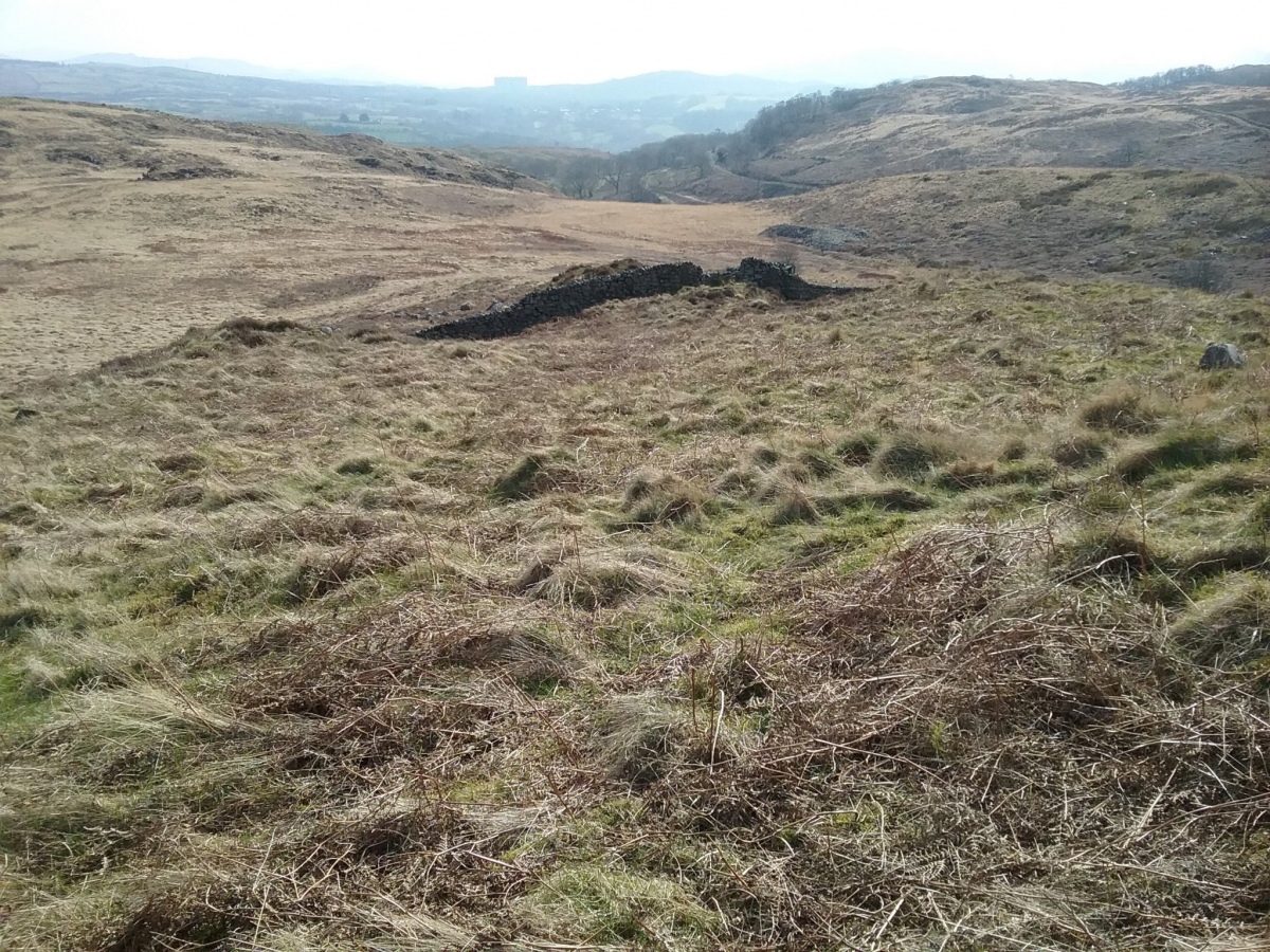 Plas Ystrad Hut Circle, Gwynedd | Megalithic Portal
