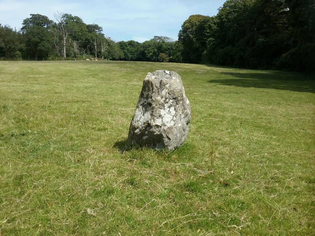 Bron Eifion Standing Stone, Gwynedd | Megalithic Portal