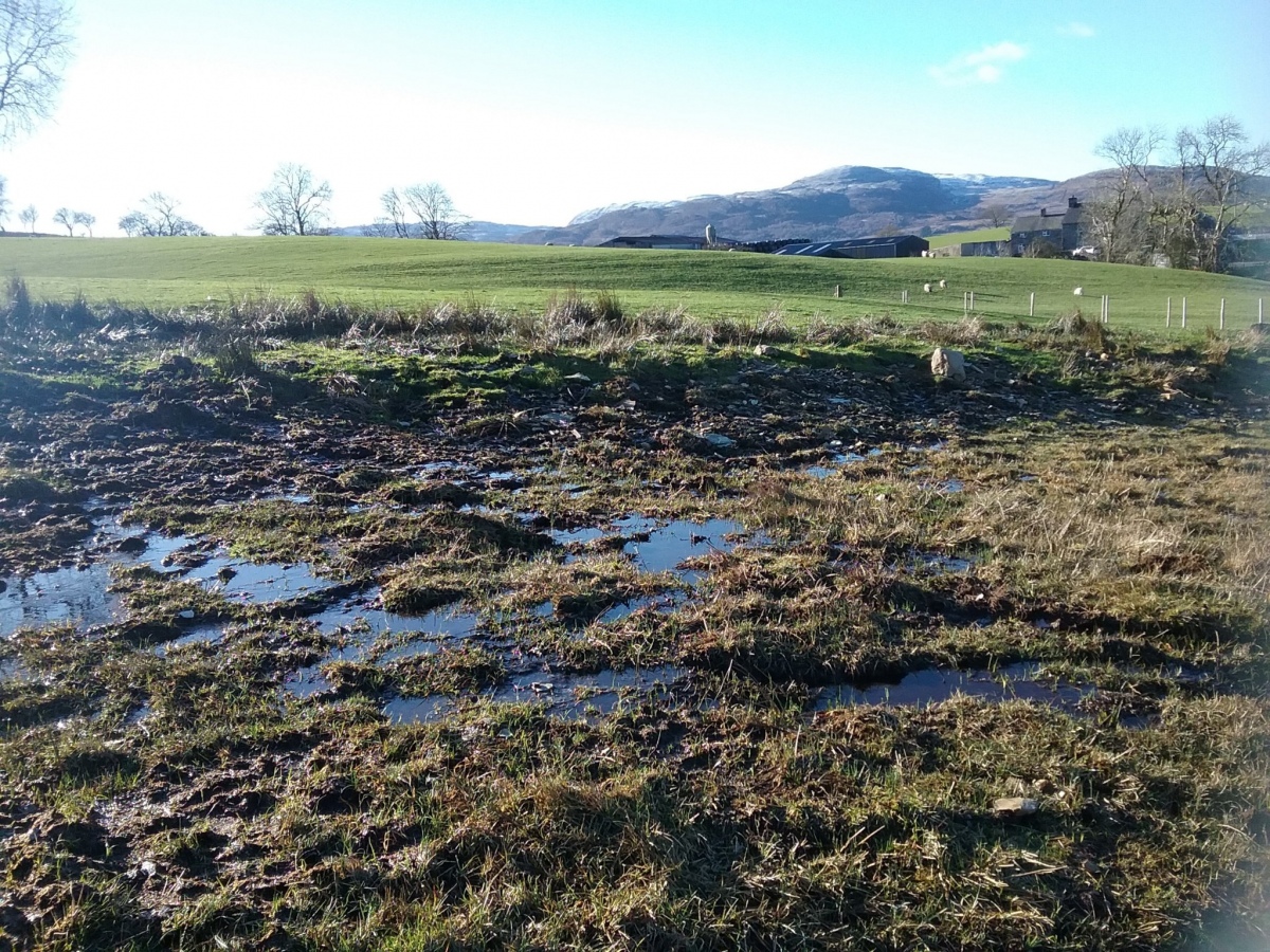 Tyddyn Felin hut circle E, Gwynedd | Megalithic Portal