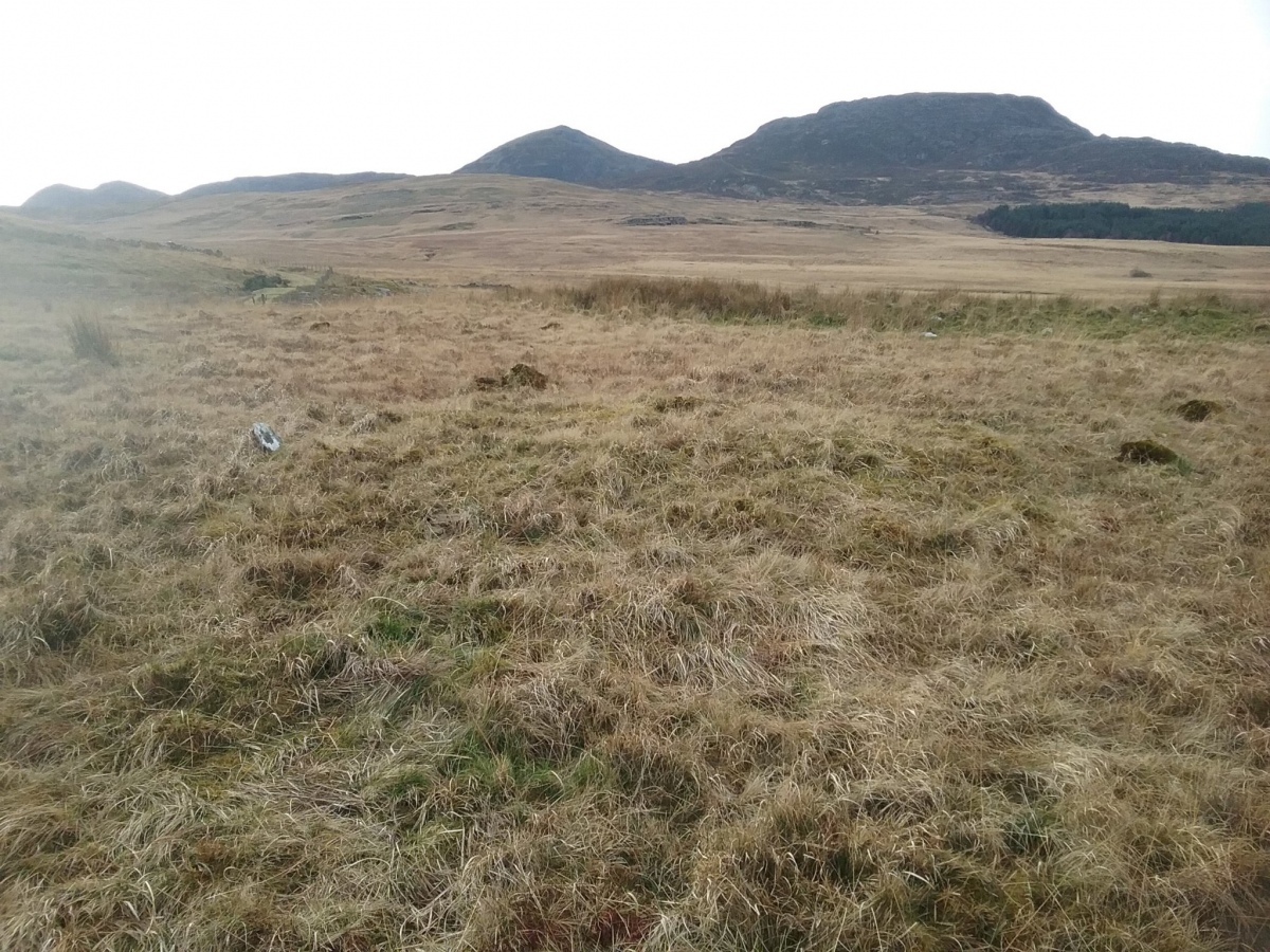 Ffridd Bryn Coch Round Cairn 2 Round Cairn : The Megalithic Portal and ...