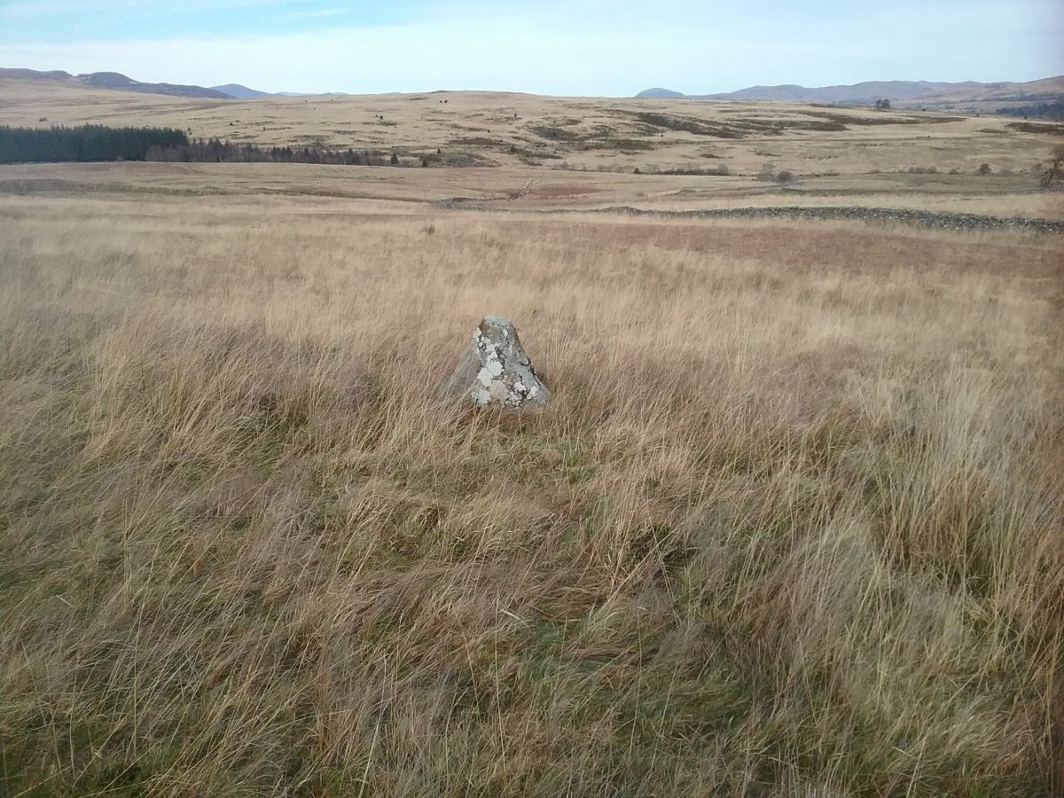 Ffridd Bryn Coch Standing Stone Standing Stone (Menhir) : The ...