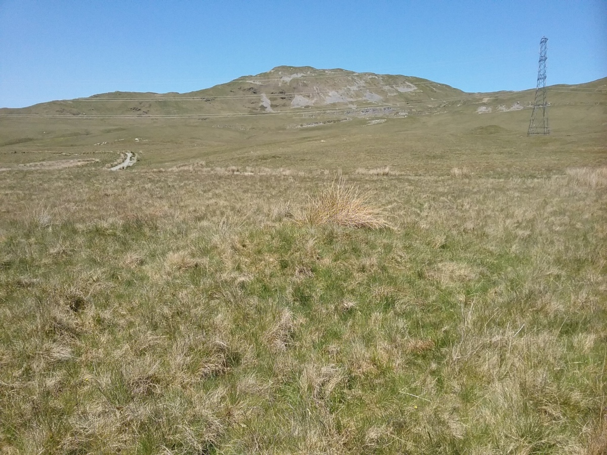 Roman Burial Mound (Dolddinas) [Sepulchral Mound at Dolddinas ...