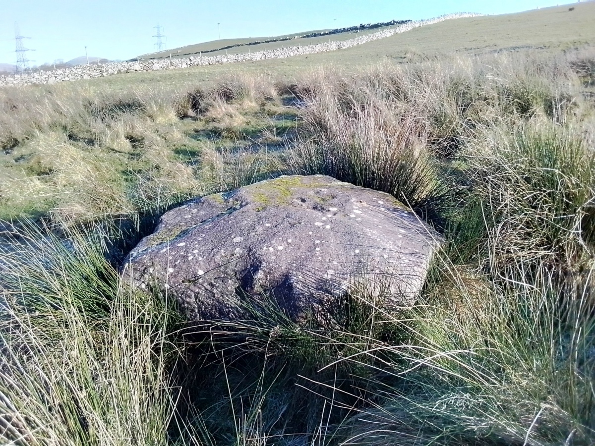 Bryn Braich y Saint Carved Stone Rock Art : The Megalithic Portal and ...