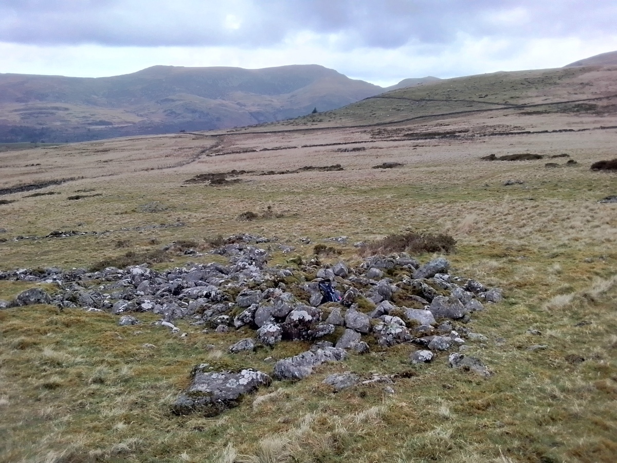 Hut Circle SW of Moel Hebog Ancient Village or Settlement : The ...