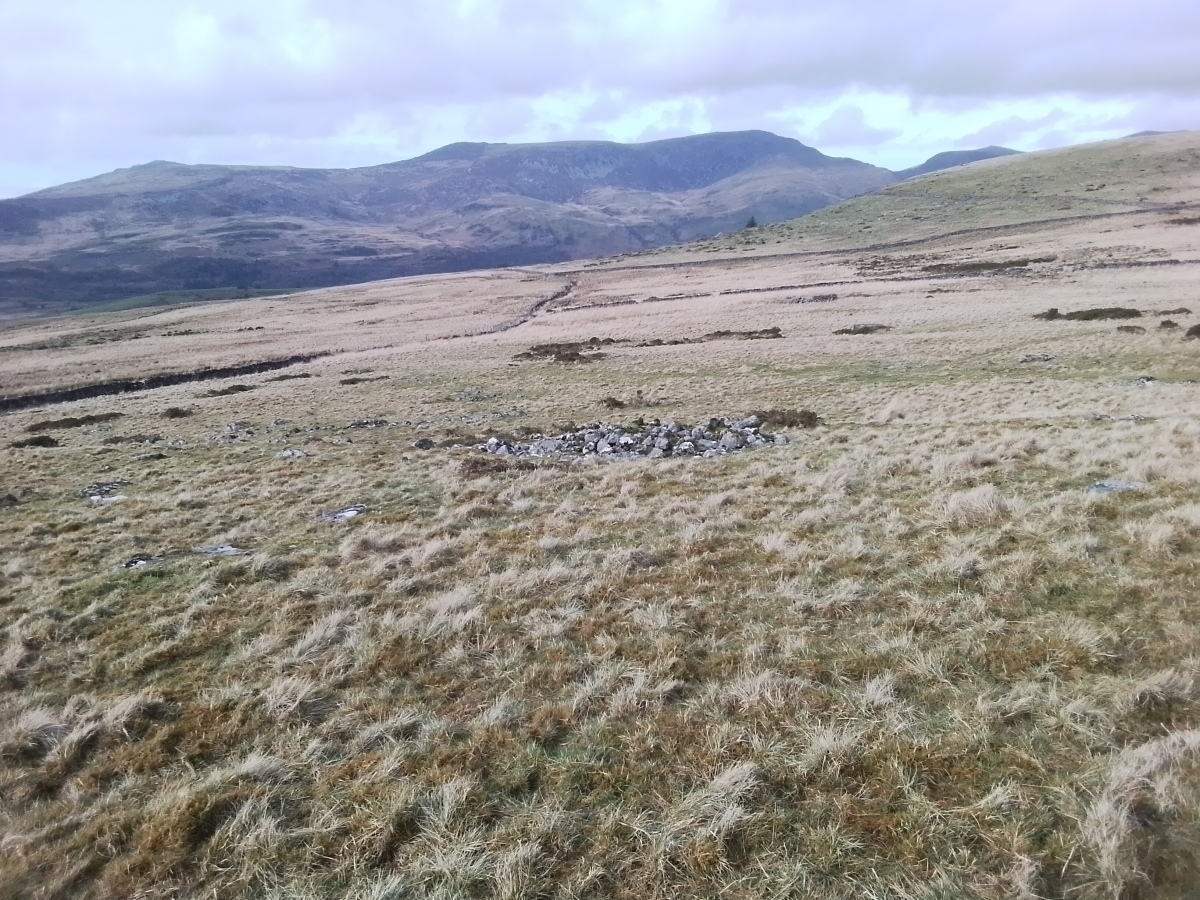 Hut Circle SW of Moel Hebog Ancient Village or Settlement : The ...