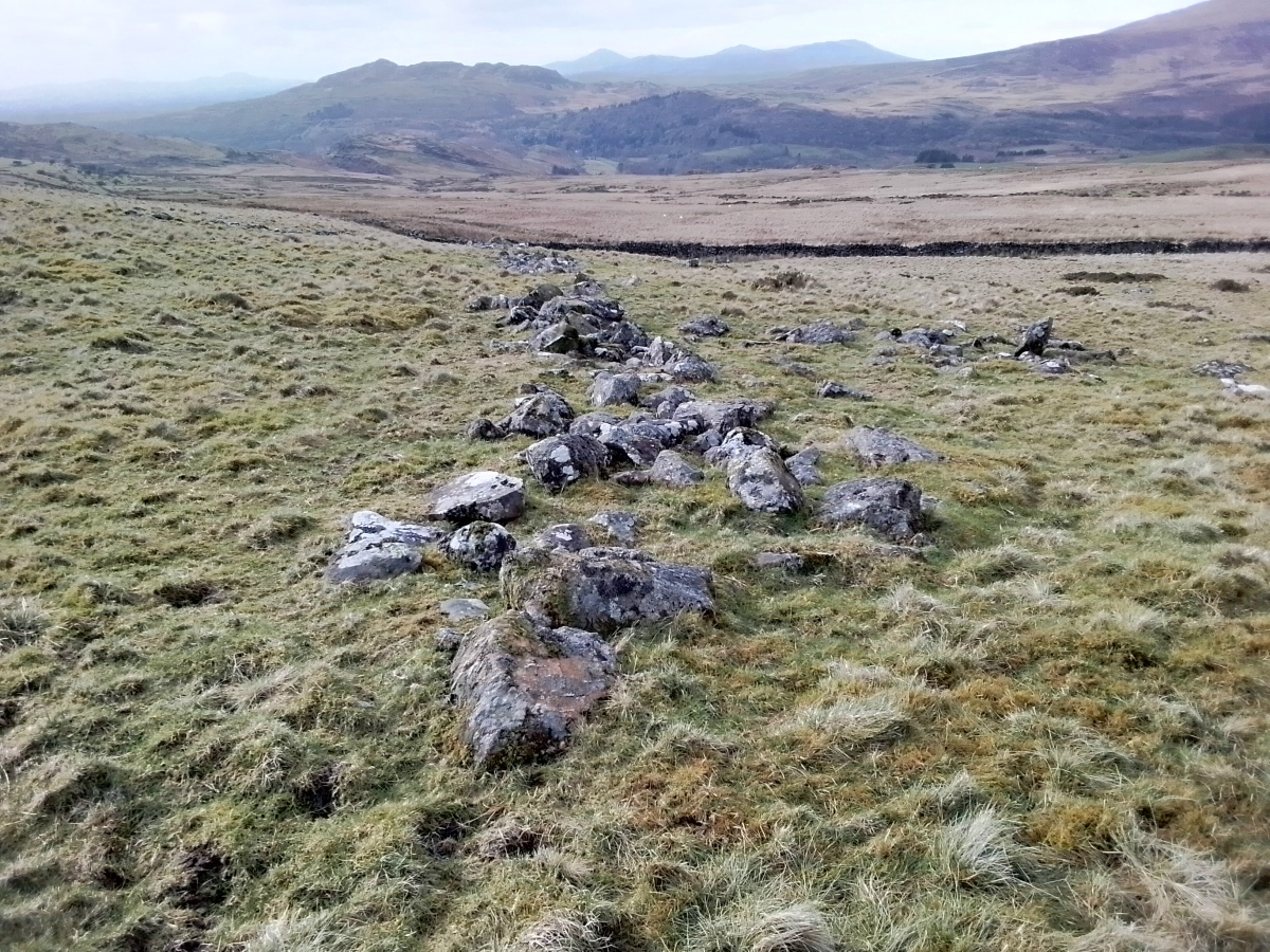 Hut Circle SW of Moel Hebog Ancient Village or Settlement : The ...