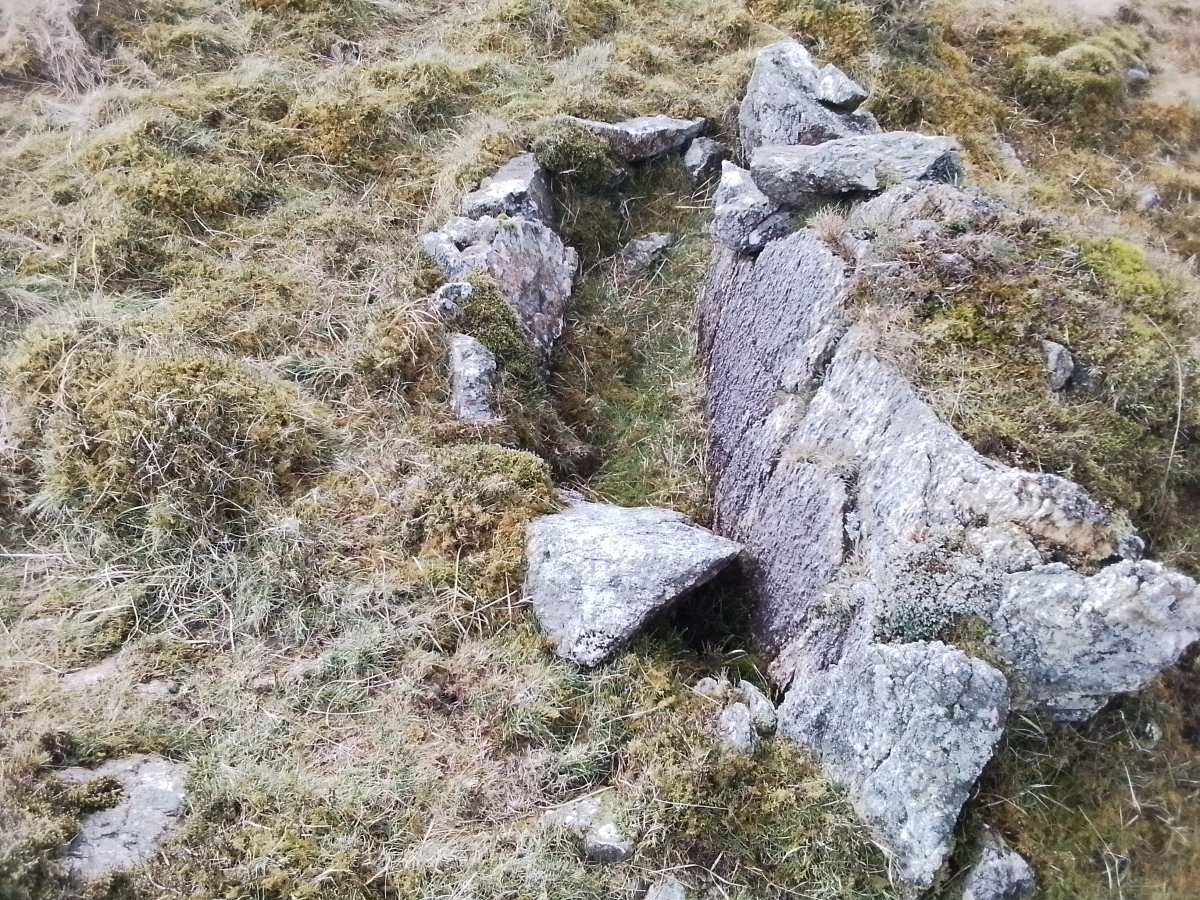 Cist North of Braich y Gornel Cist : The Megalithic Portal and Megalith ...