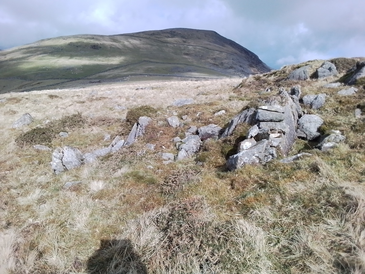 Cist North of Braich y Gornel Cist : The Megalithic Portal and Megalith ...
