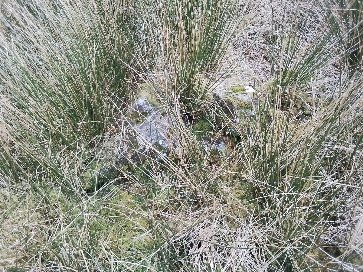 Gorseddau Hut Circle 1, Gwynedd | Megalithic Portal