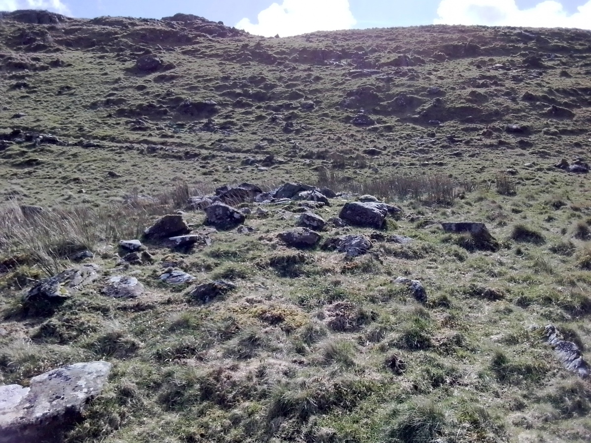 Gorseddau Hut Circle 2 Ancient Village or Settlement : The Megalithic ...